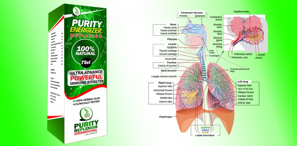 Purity Energizer Clinically Proven Supplement | Opuforty Mall