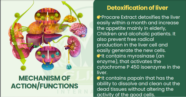 ProCare Herbal Capsule - Natural Prostate Relief | Opuforty Mall